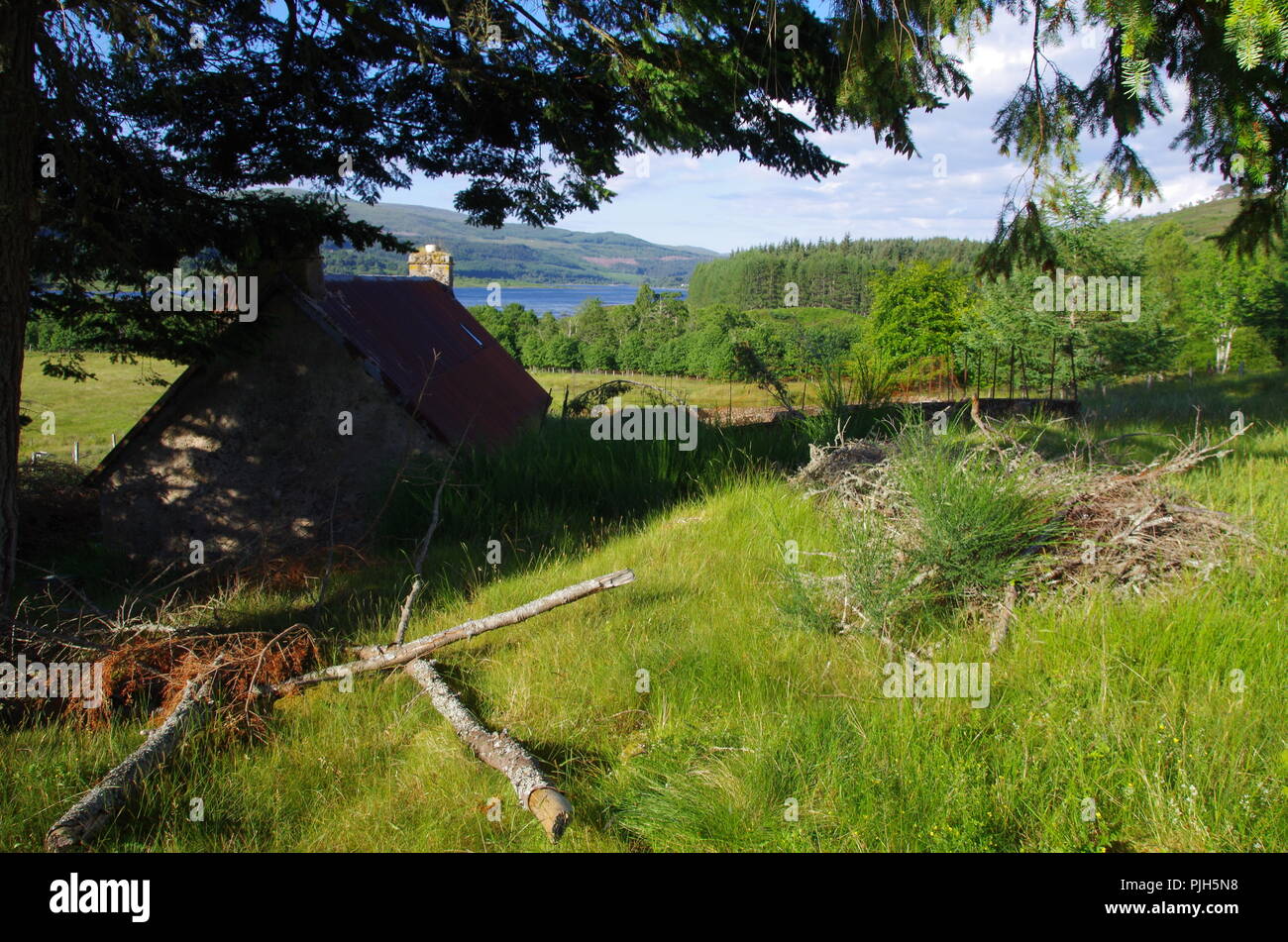 Inchlaggan forest bothy or abandoned croft. John o' groats (Duncansby ...