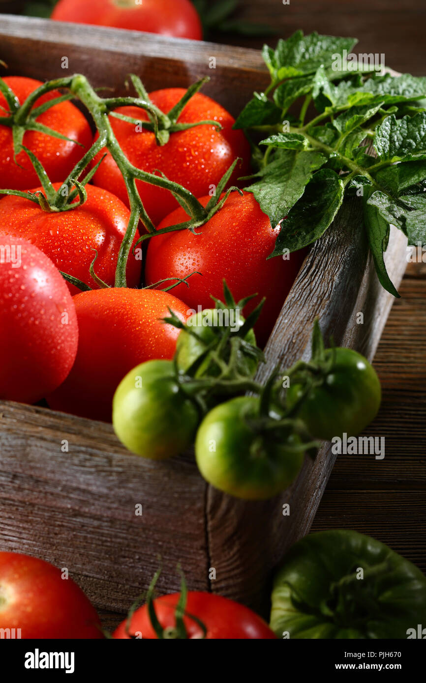 Harvest of local tomatoes Stock Photo - Alamy