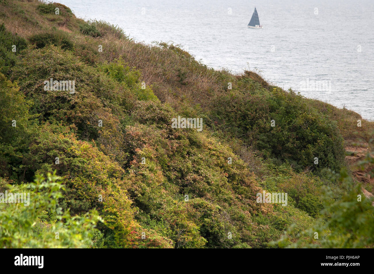 Durham Heritage Coast near Easington Colliery, County Durham, UK Stock ...