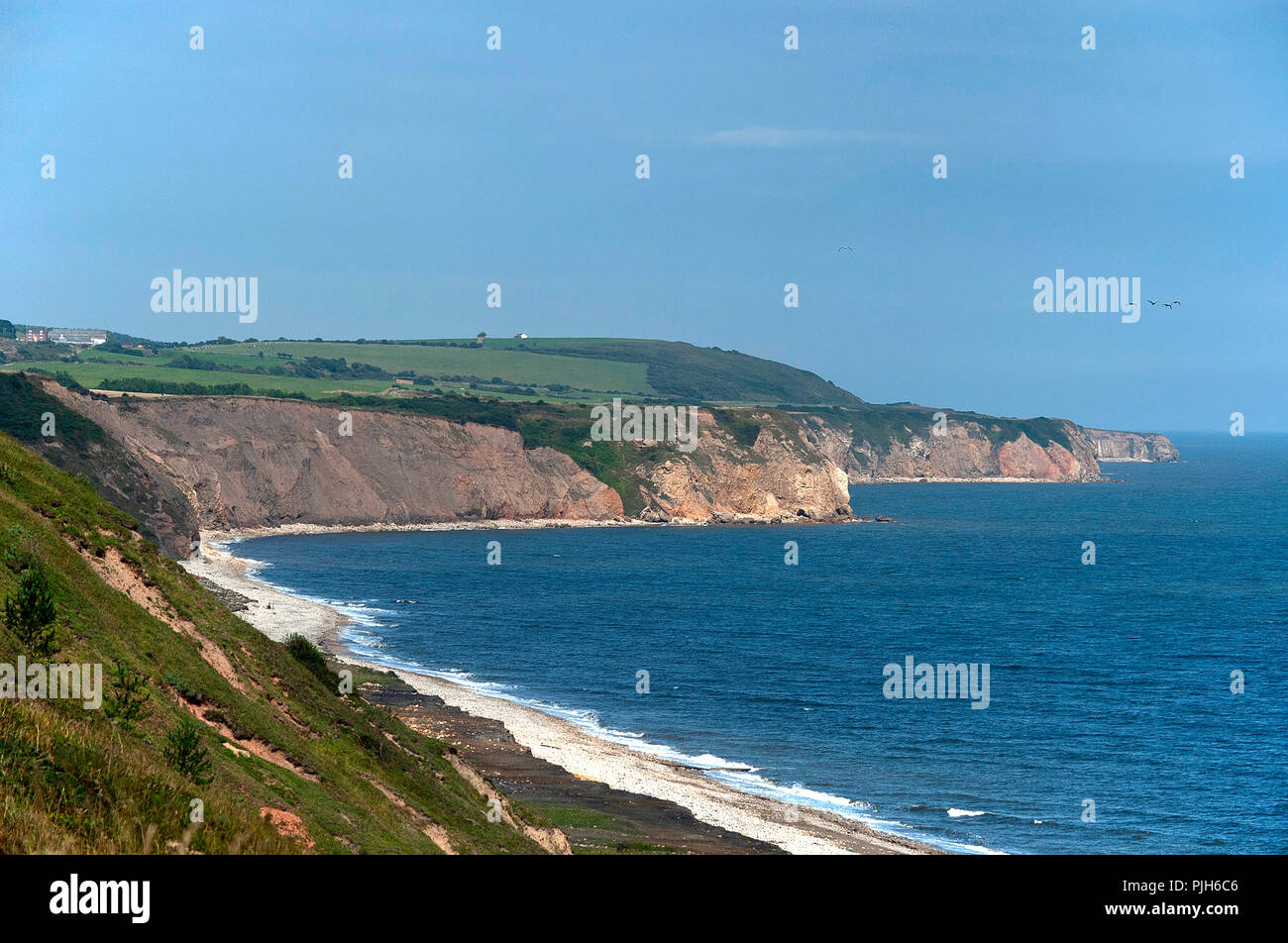 Durham coast england hi-res stock photography and images - Alamy