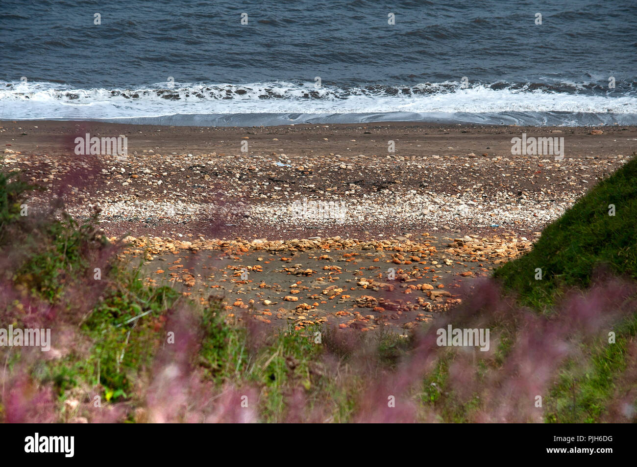 Blackhall durham hi-res stock photography and images - Alamy