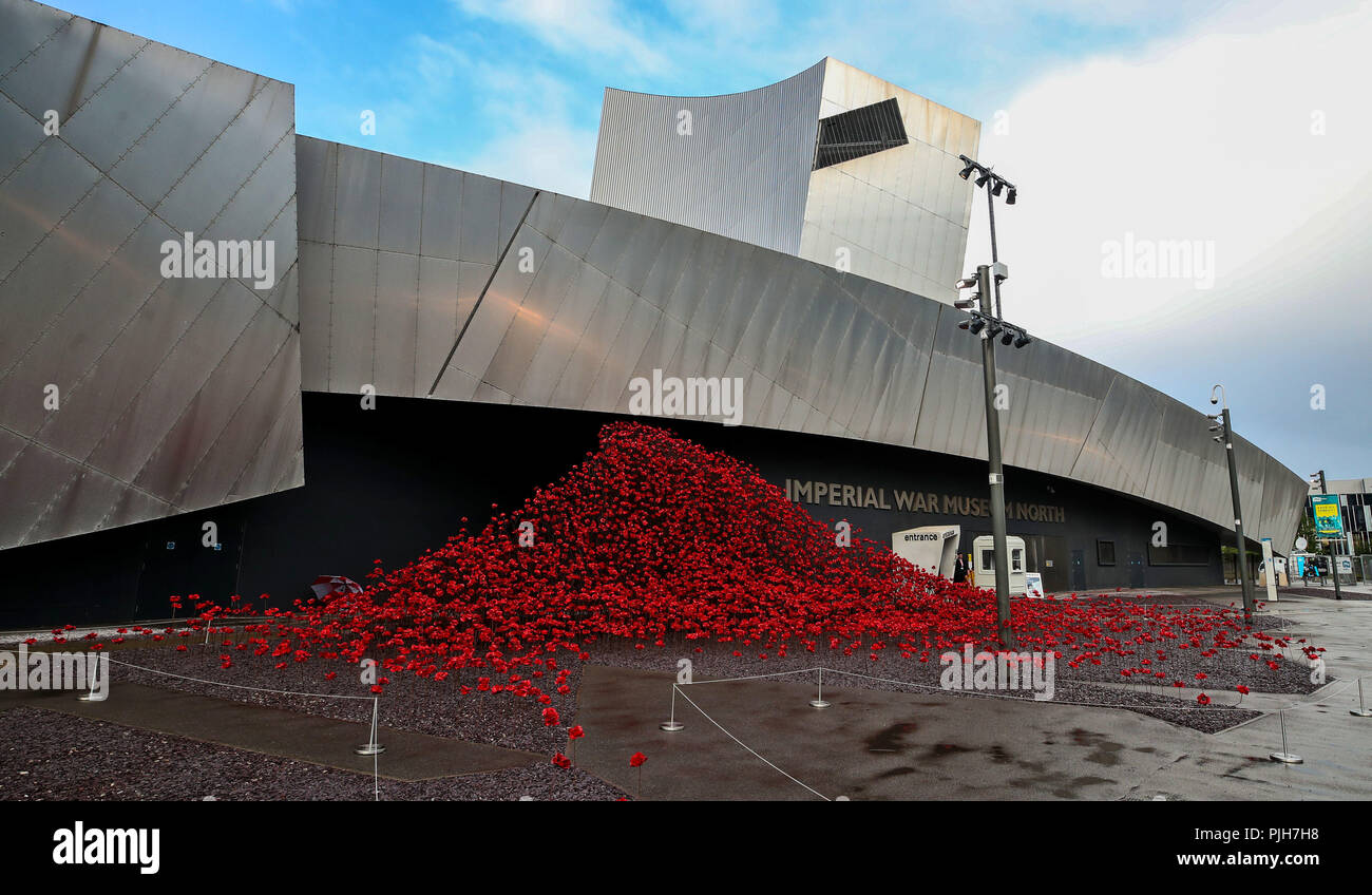 The poppy sculpture Wave by artist Paul Cummins and designer Tom Piper ...