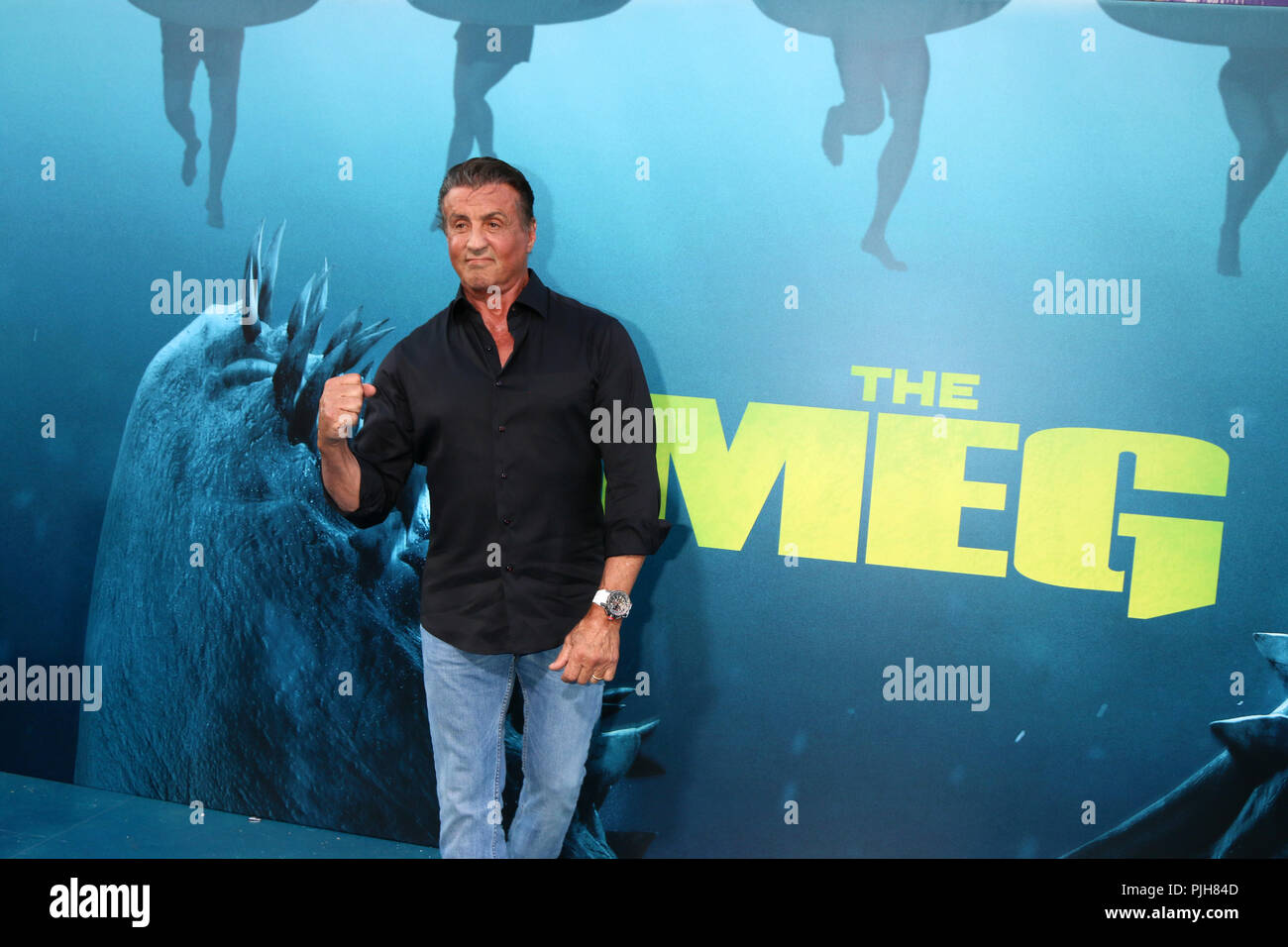"The Meg" Premiere on the TCL Chinese Theater IMAX on August 6, 2018 in ...