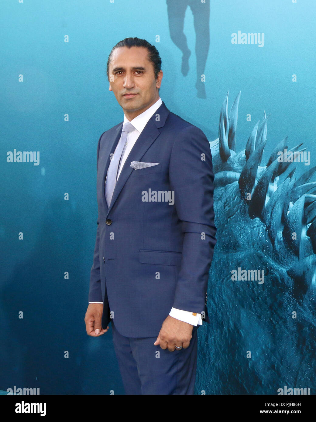 "The Meg" Premiere on the TCL Chinese Theater IMAX on August 6, 2018 in ...