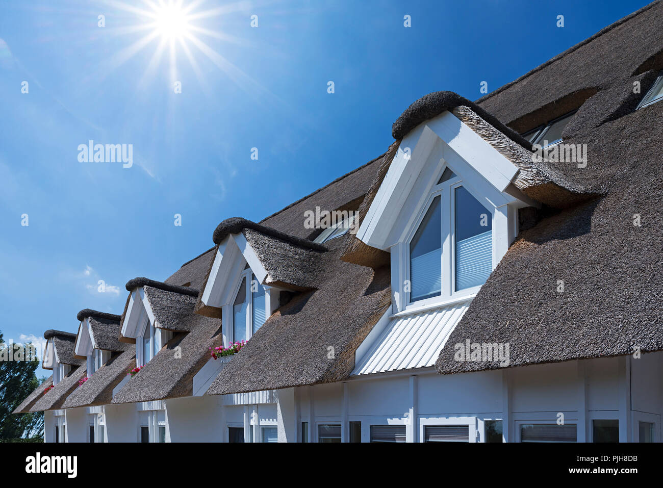 Thatched dormers, sky with solar reflex, Germany Stock Photo - Alamy