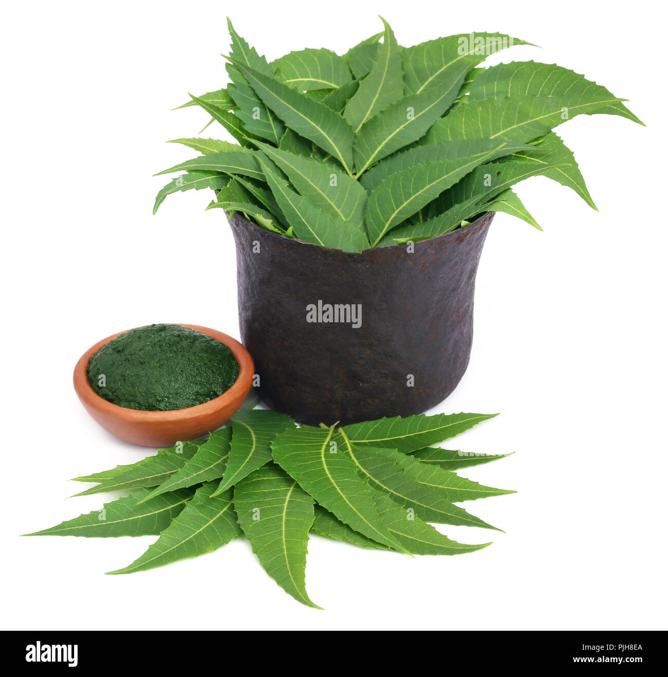 Neem oil hi-res stock photography and images - Alamy