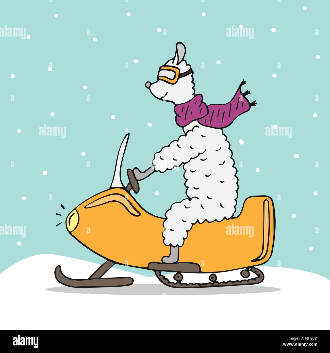 Hand-drawn poster with a lama wearing a scarf riding on a snowmobile ...