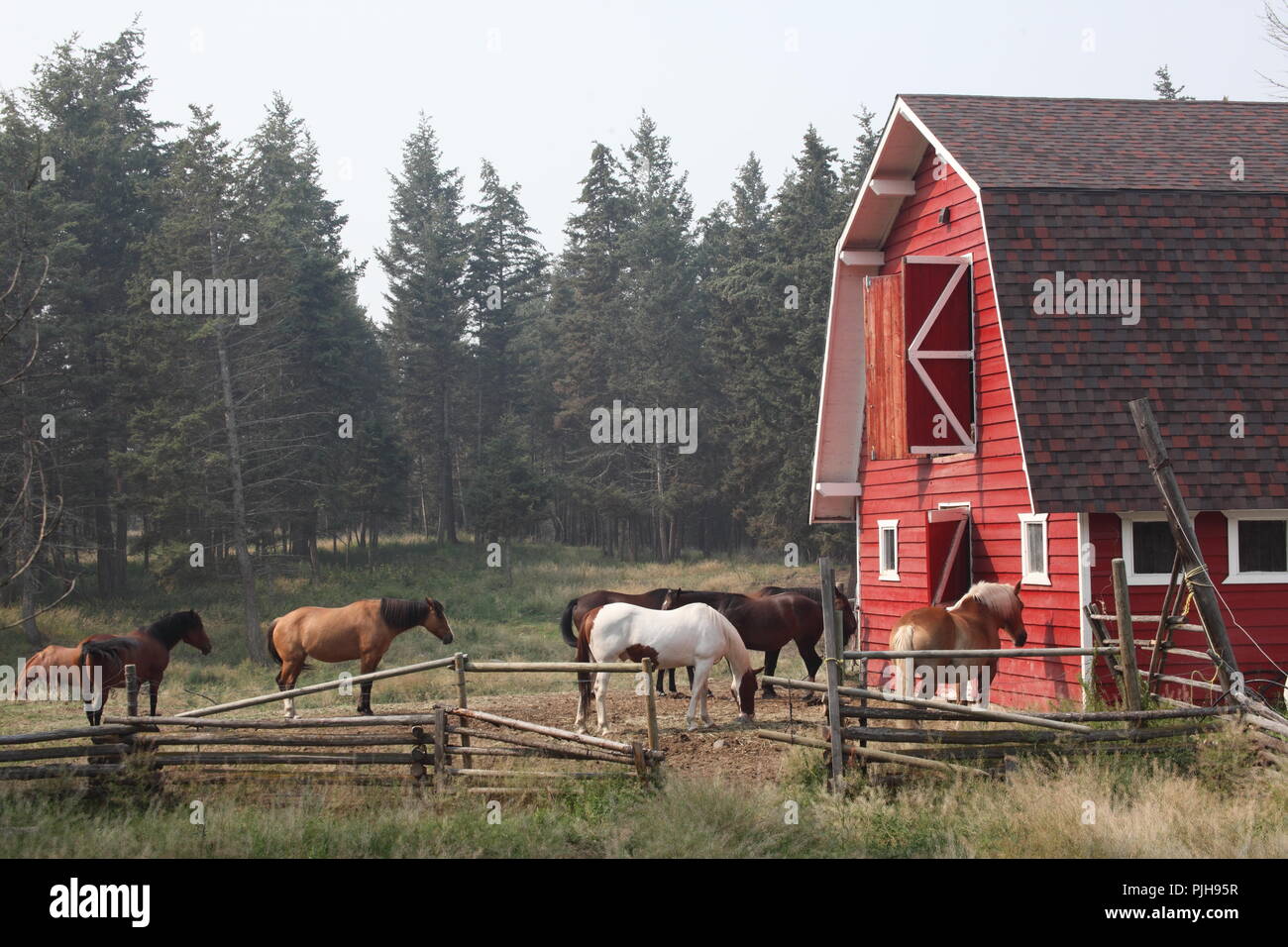 108 mile ranch british columbia hi-res stock photography and images - Alamy