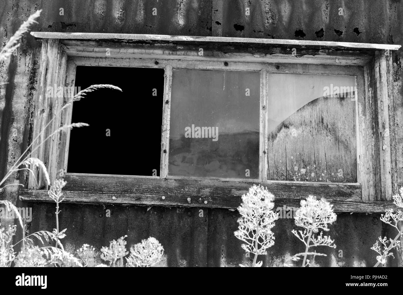 Wood And Corrugated Tin Shed High Resolution Stock Photography and ...