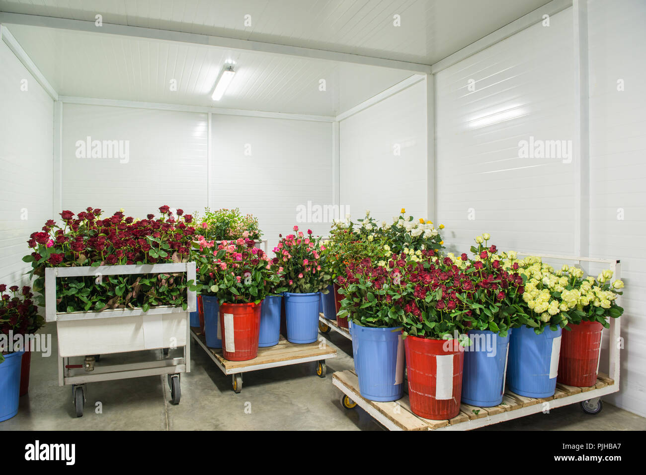 Cold storage warehouse interior hi-res stock photography and images - Alamy