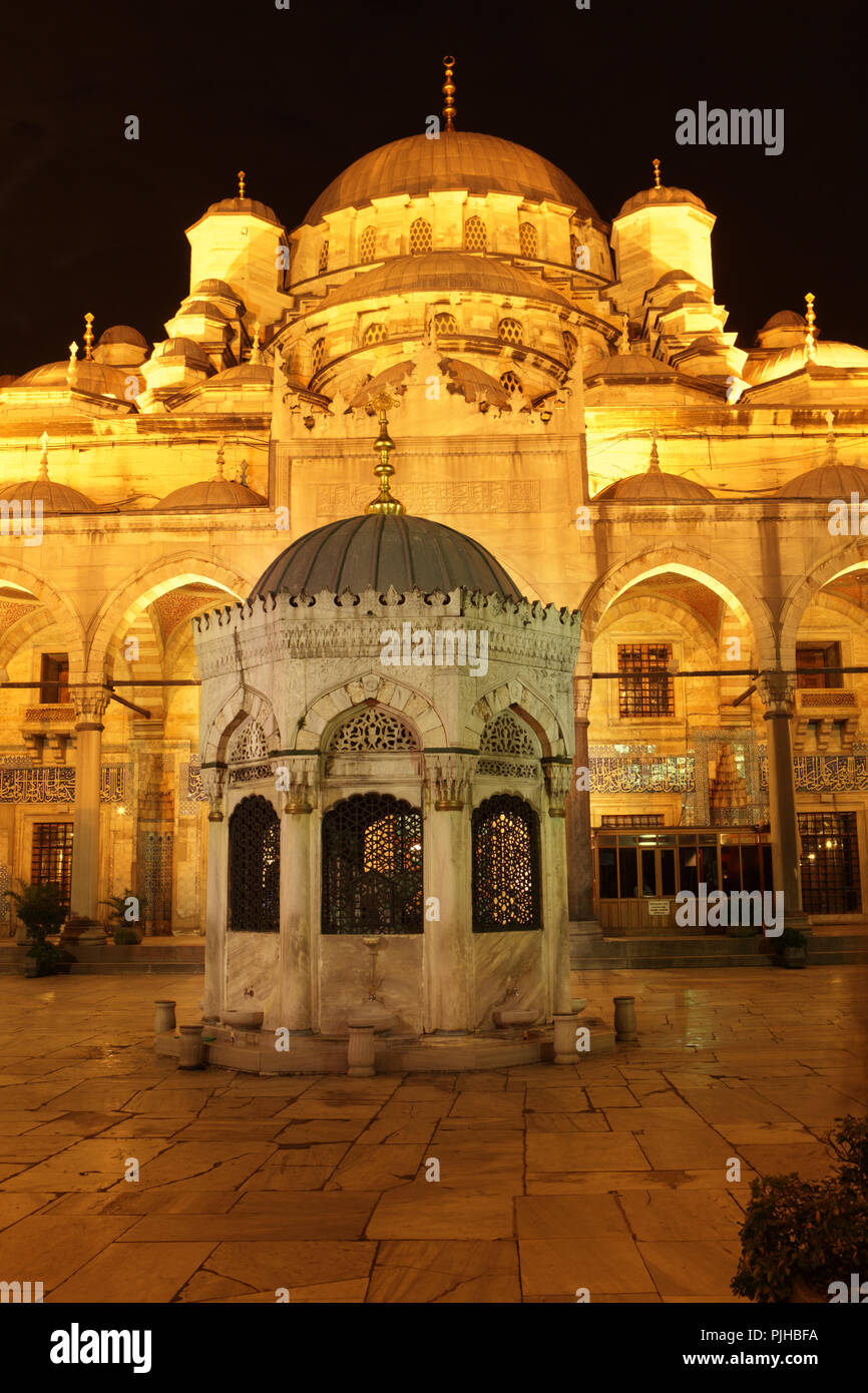 Yeni (New) Mosque in Istanbul at night Stock Photo - Alamy