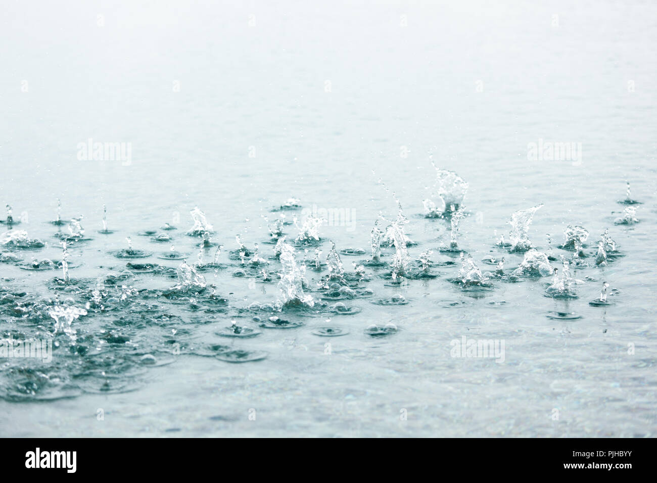 Splashes on the sea surface Stock Photo - Alamy