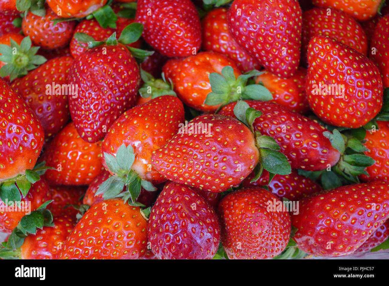 Red strawberry fruits at rural market in Cameron Highlands, Malaysia ...