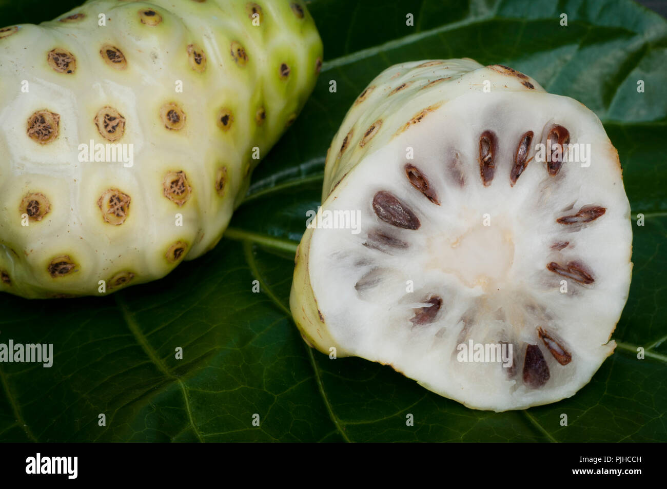 Noni texture hi-res stock photography and images - Alamy
