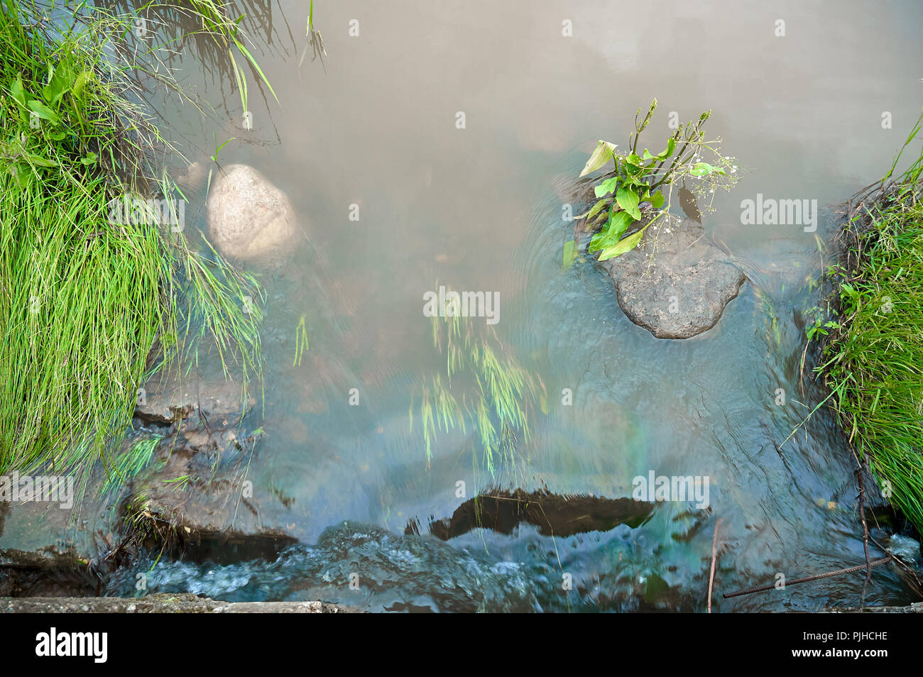 water stream green grass rocks Stock Photo - Alamy