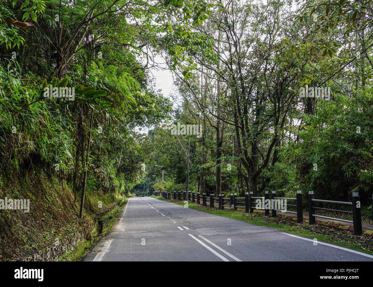 Mountain road on Cameron Highlands. Cameron is the most popular of the ...