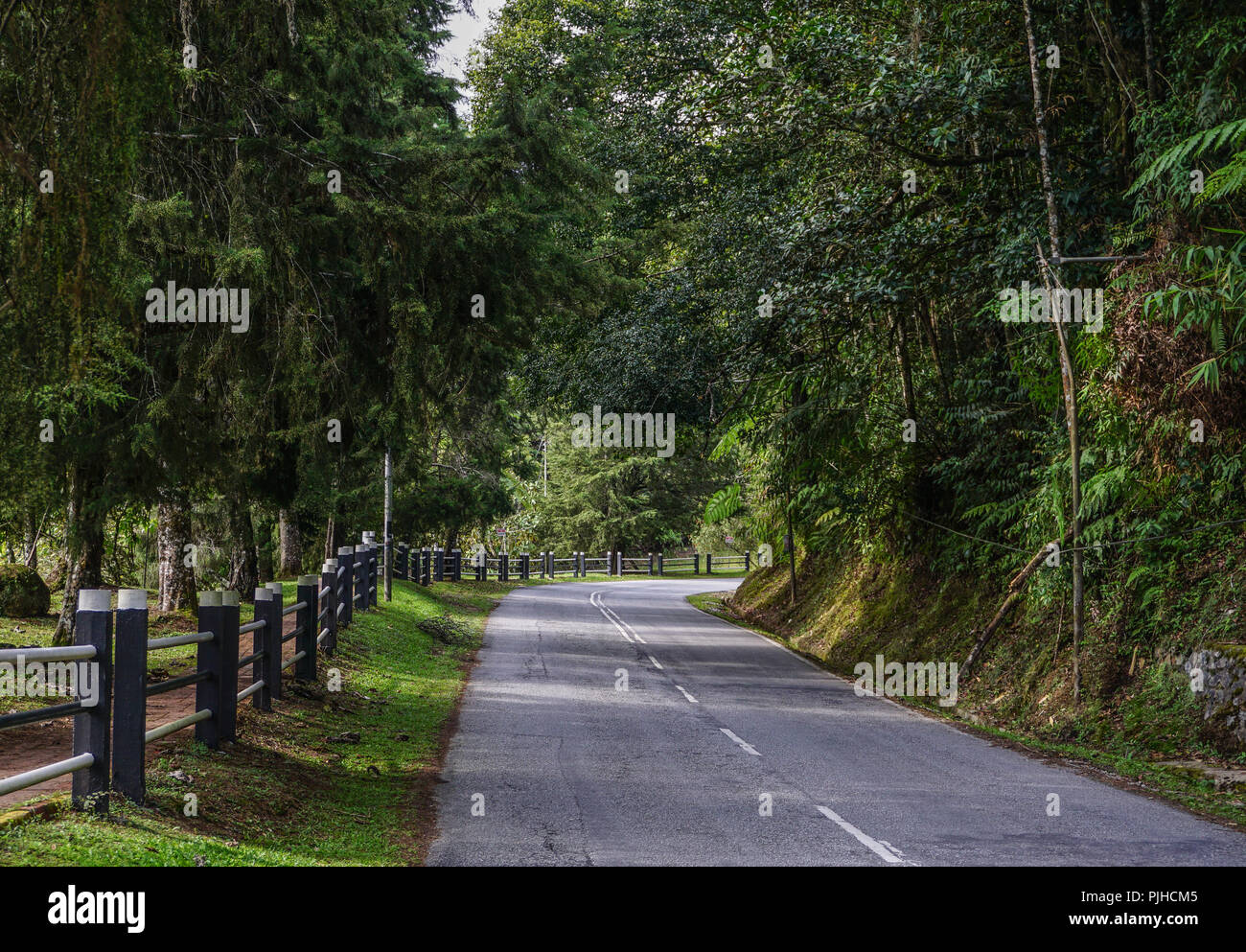 Mountain road on Cameron Highlands. Cameron is the most popular of the ...