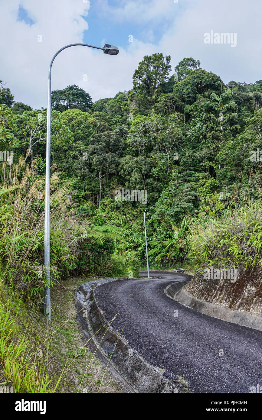 Mountain road on Cameron Highlands. Cameron is the most popular of the ...