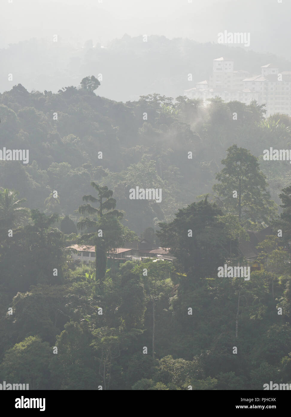 Mountain scenery with luxury resorts on Cameron Highlands, Malaysia ...
