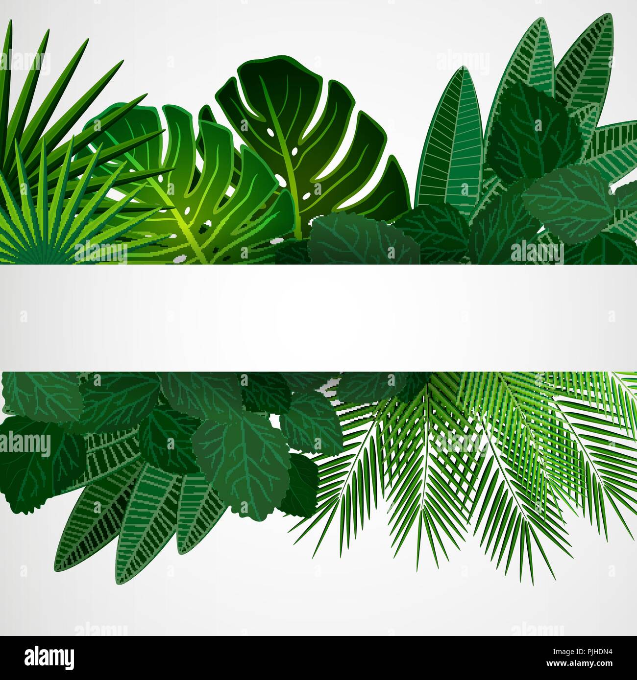 Tropical leaves. Floral design background Stock Vector Image & Art - Alamy