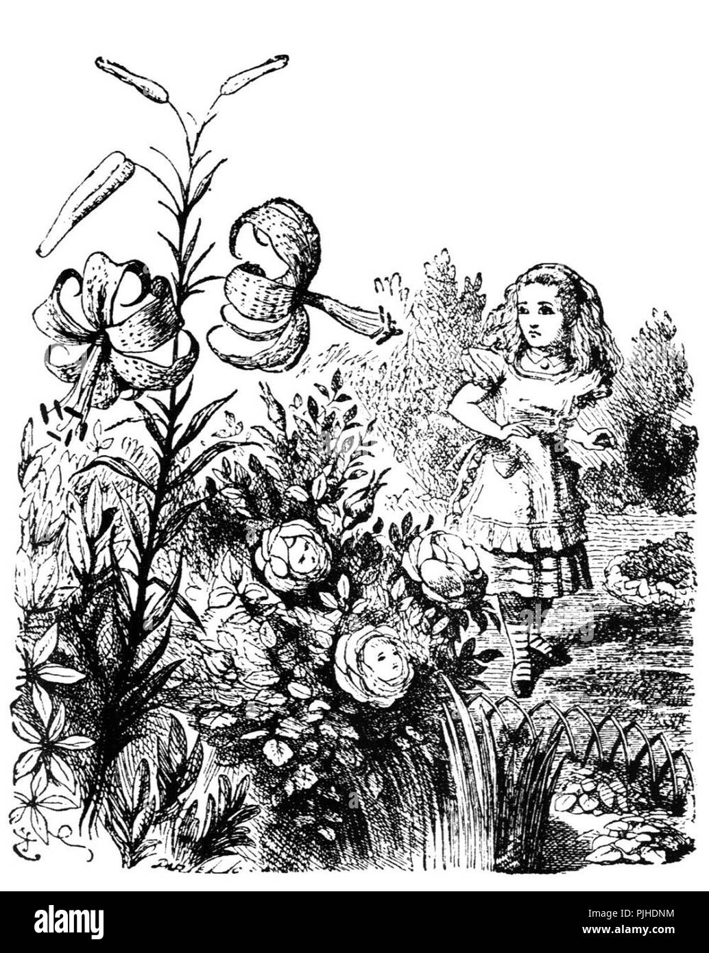 vintage john tenniel alice in wonderland illusstrator original artwork ...