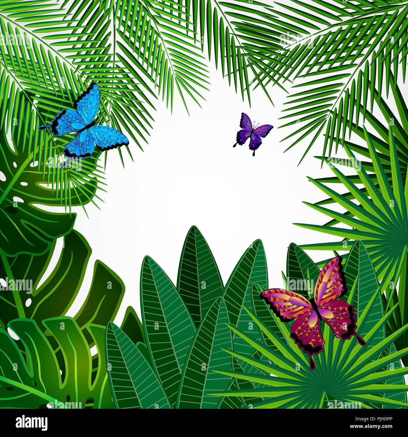 Hawaiian butterflies Stock Vector Images - Alamy