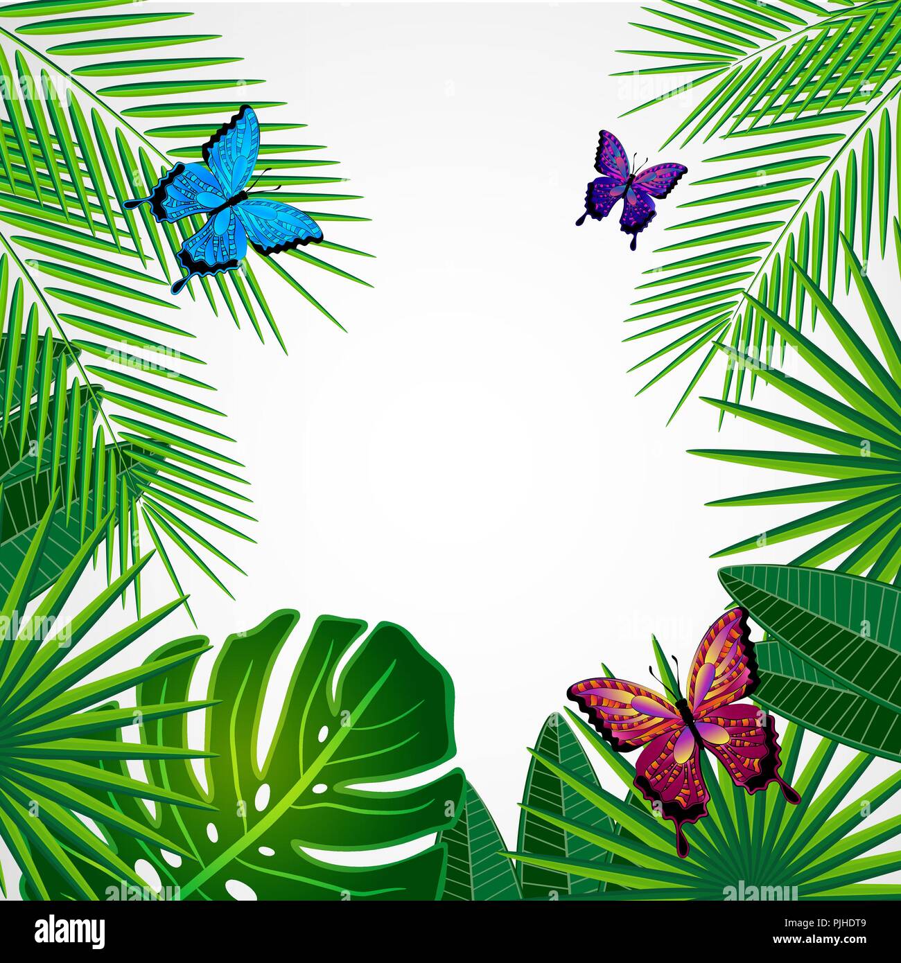 Tropical leaves with butterflies. Floral design background Stock Vector ...