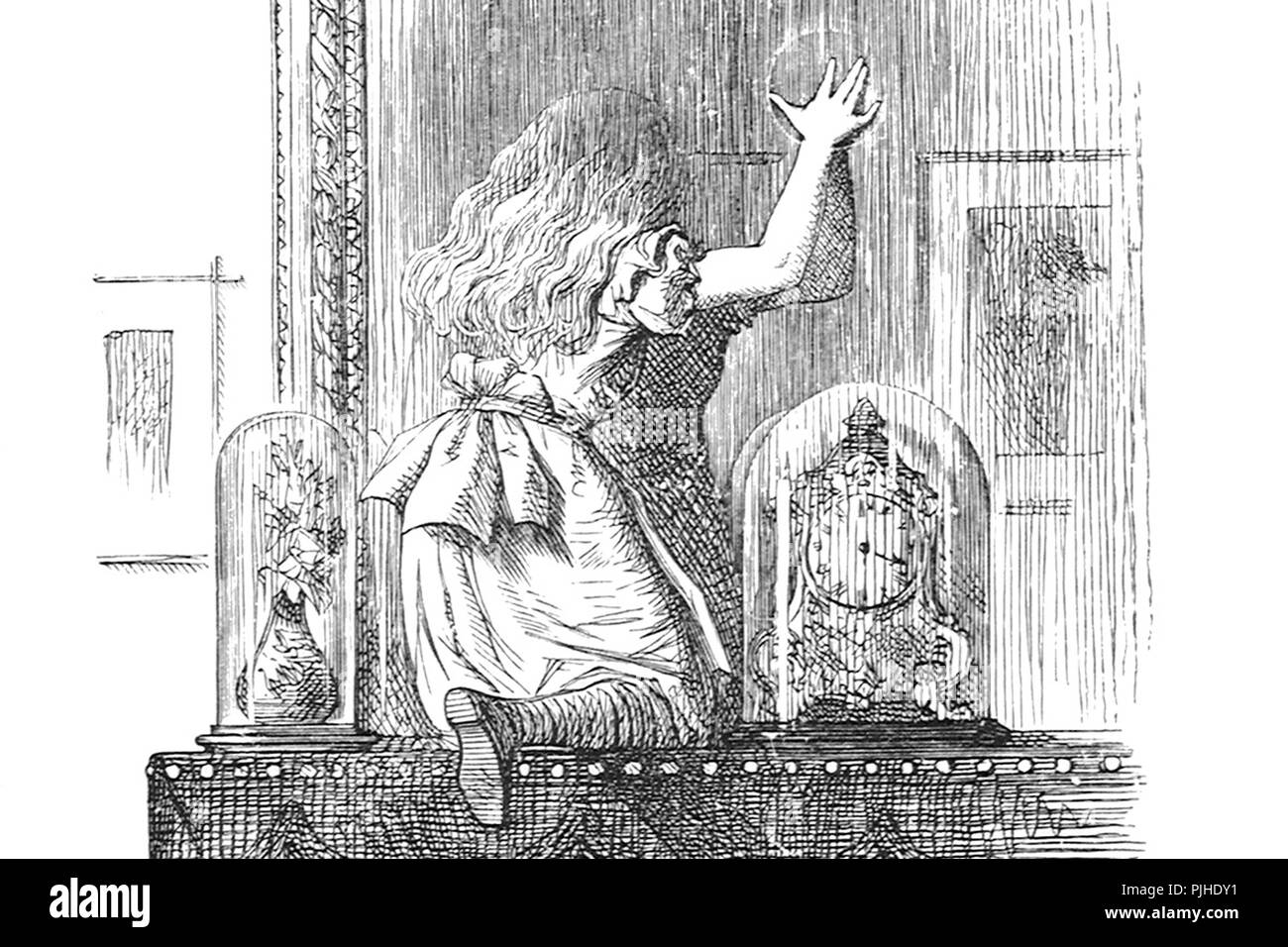 Tenniel alice dodo hi-res stock photography and images - Alamy