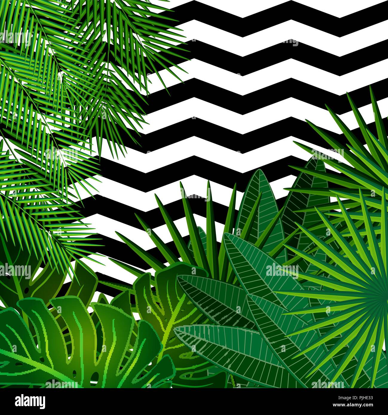 Tropical leaves background with geometric elements, vector floral ...