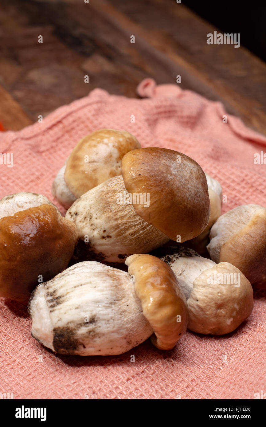 Fresh raw whole white boletus tasty edible mushrooms close up ready to ...