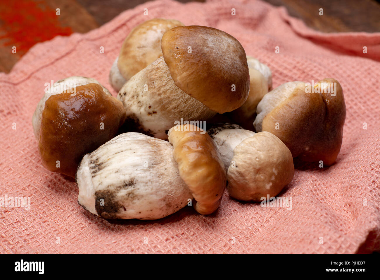 Fresh raw whole white boletus tasty edible mushrooms close up ready to ...