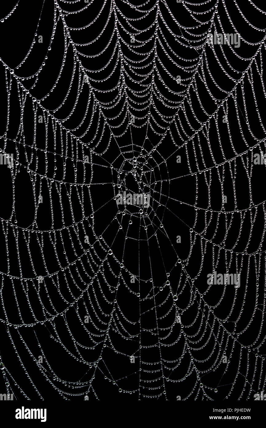 Cobweb empty hi-res stock photography and images - Alamy