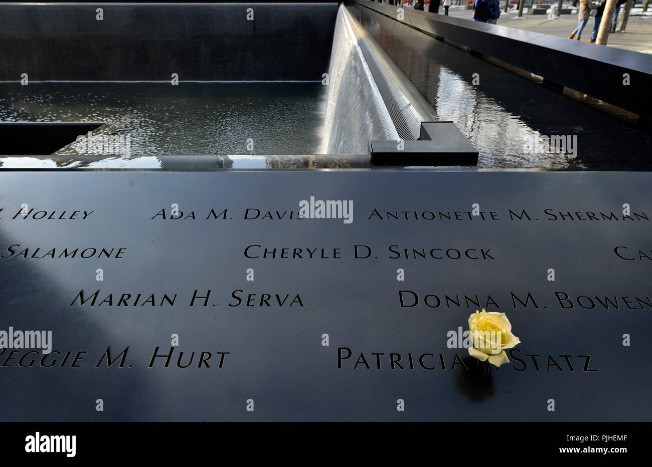 USA, New York, Ground Zero memorial. A yellow rose Stock Photo - Alamy