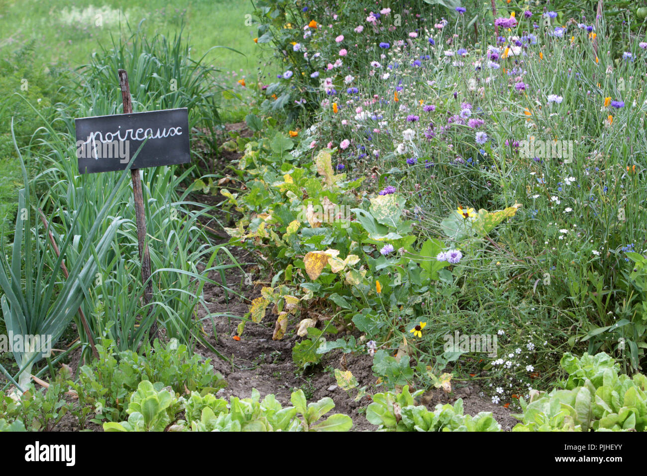 Vegetable garden in the Alps. Cordon. France Stock Photo - Alamy