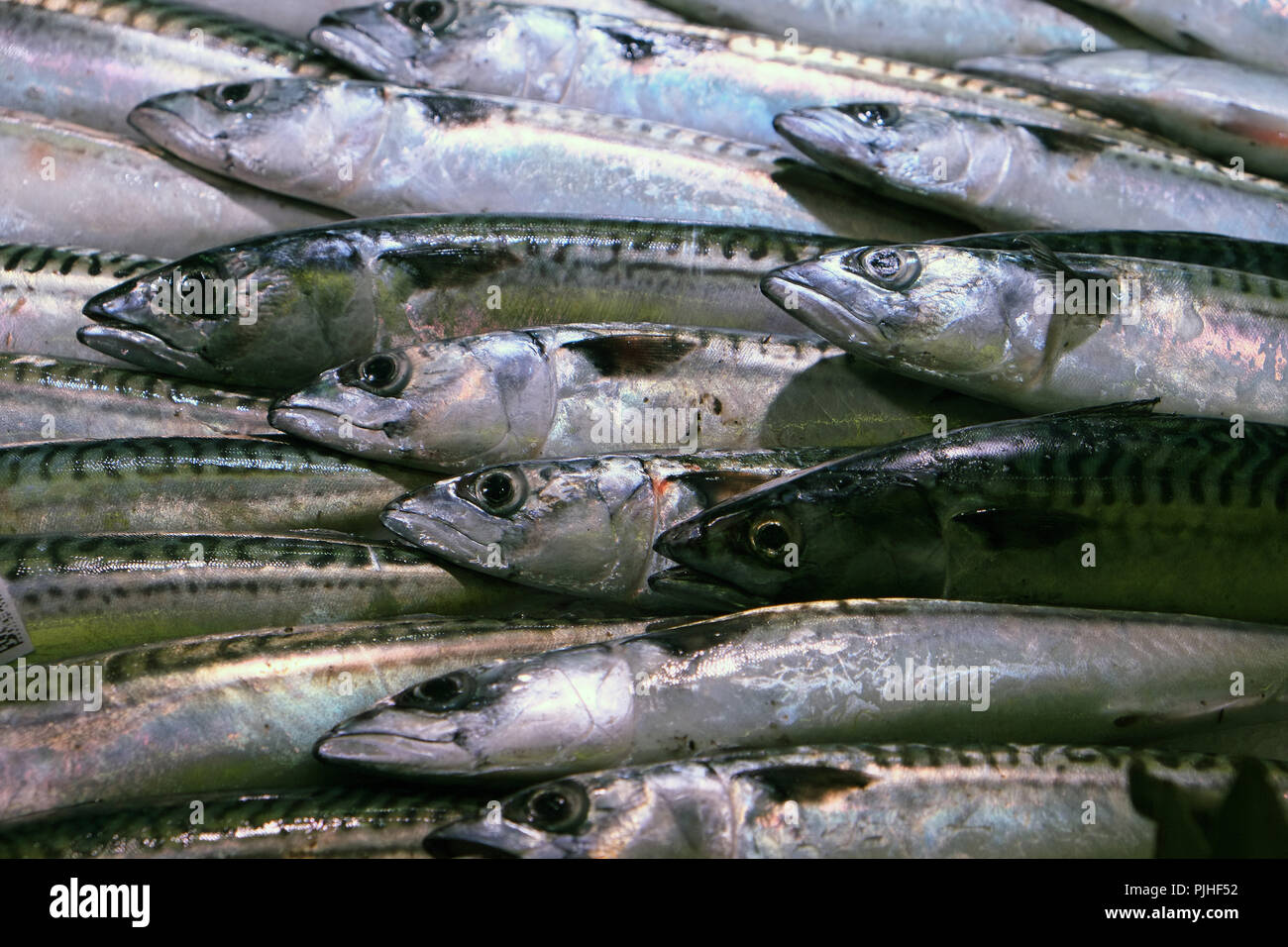 SPREAD OF FISH Stock Photo - Alamy