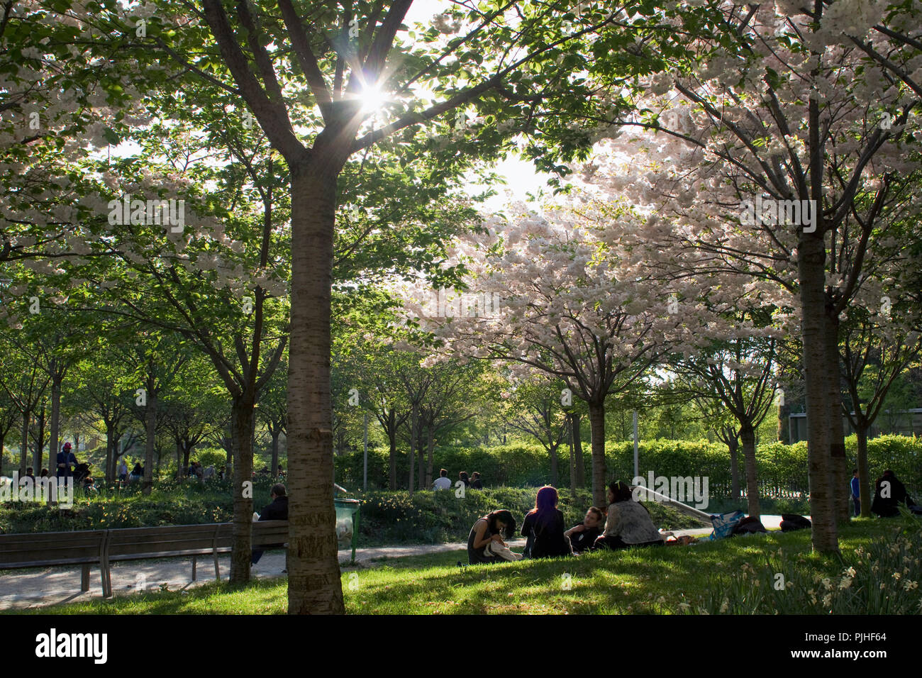Parc clichy batignolles hi-res stock photography and images - Alamy