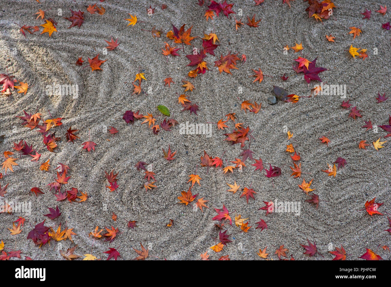 Hosen in temple hi-res stock photography and images - Alamy