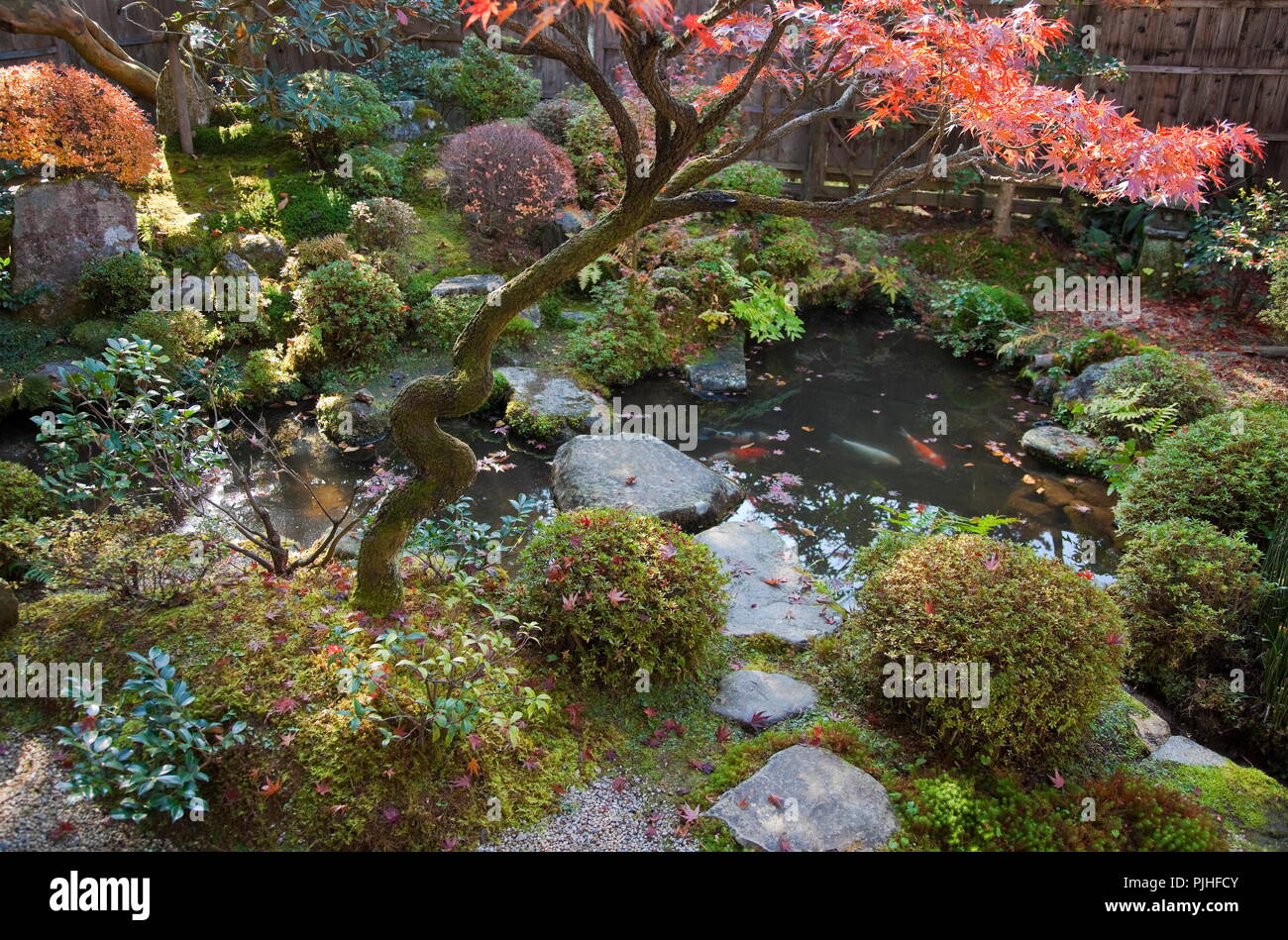 Japan, Kyoto, Ohara district, Hosen-in Temple, path of stepping stones ...
