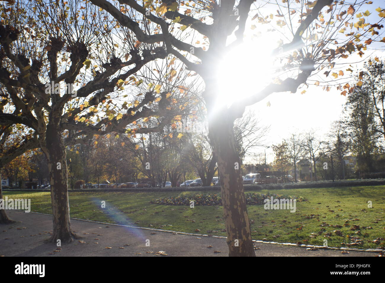 Autumn at Worms Stock Photo - Alamy