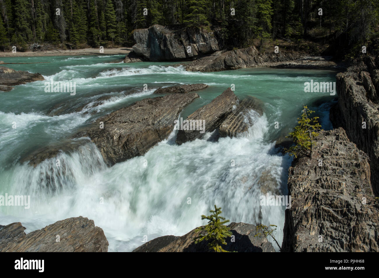 Rapids in the river near Natural Bridge, Field Stock Photo - Alamy