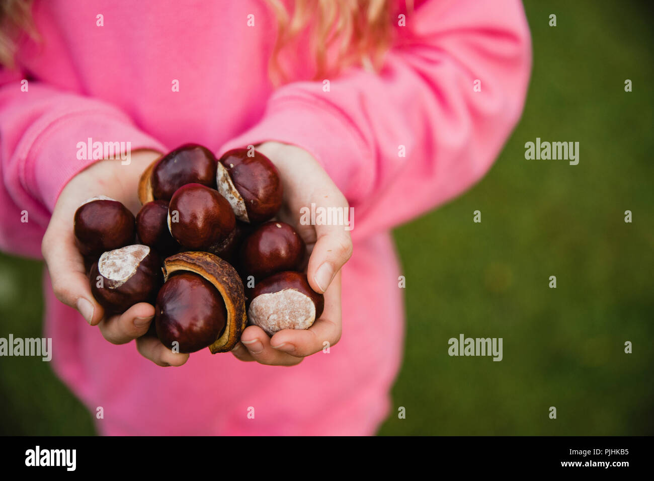Hands cupped together hi-res stock photography and images - Alamy