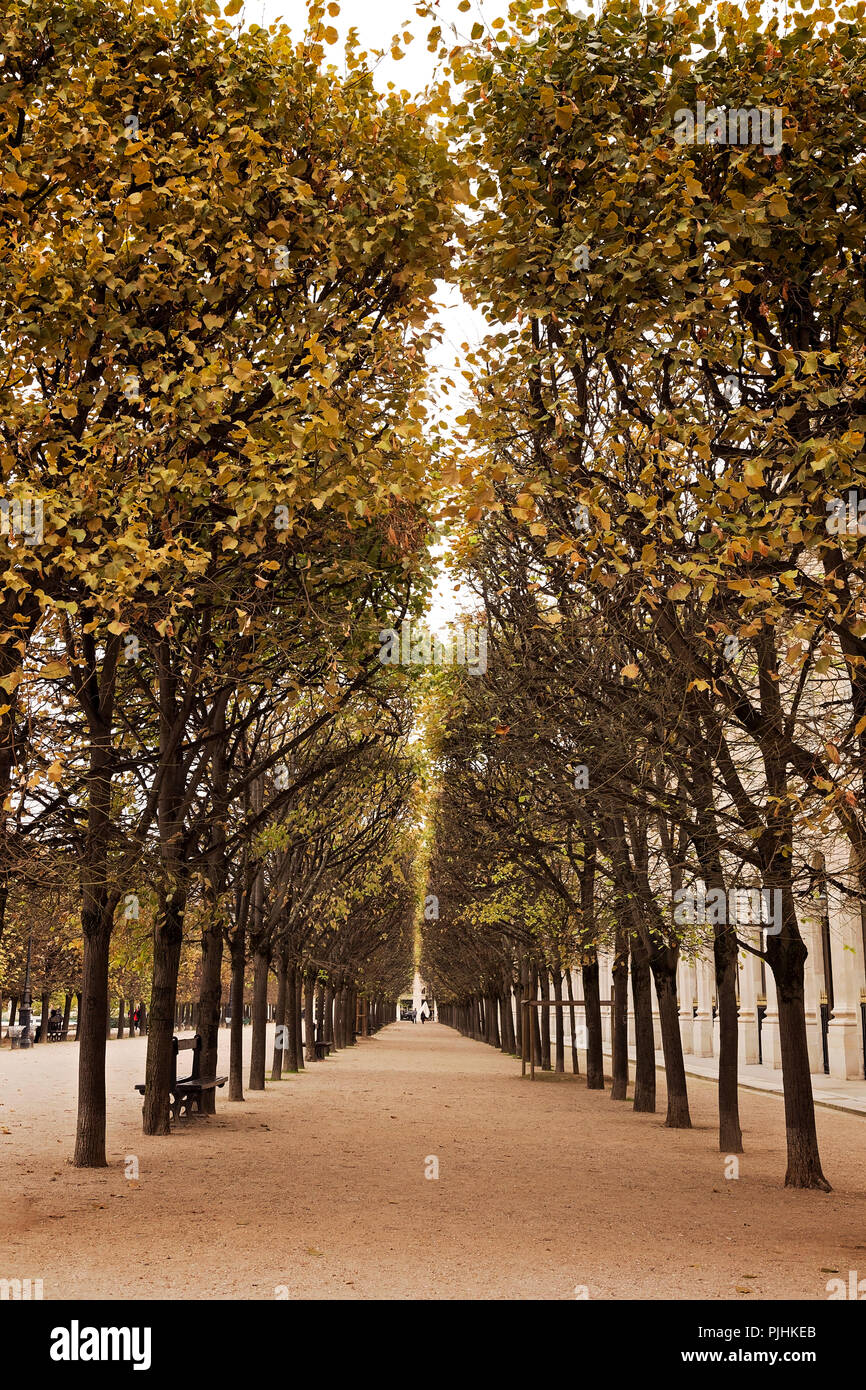 Symmetrical balance hi-res stock photography and images - Alamy