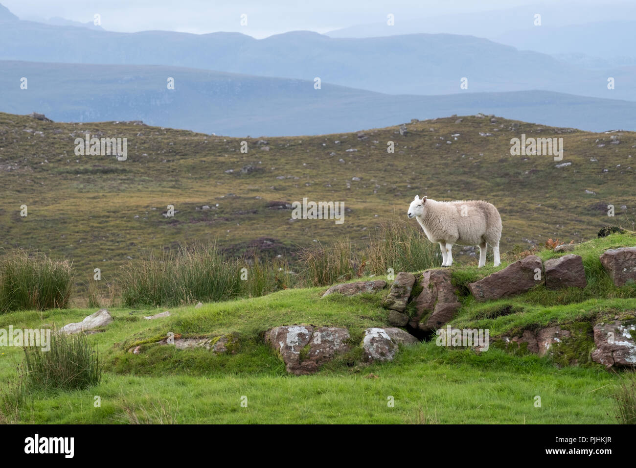 Typical scottish scenery scenic drive hi-res stock photography and ...