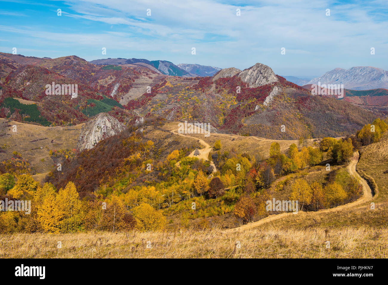 Autumn countryside panorama in mountains. Forest with colorful foliage ...