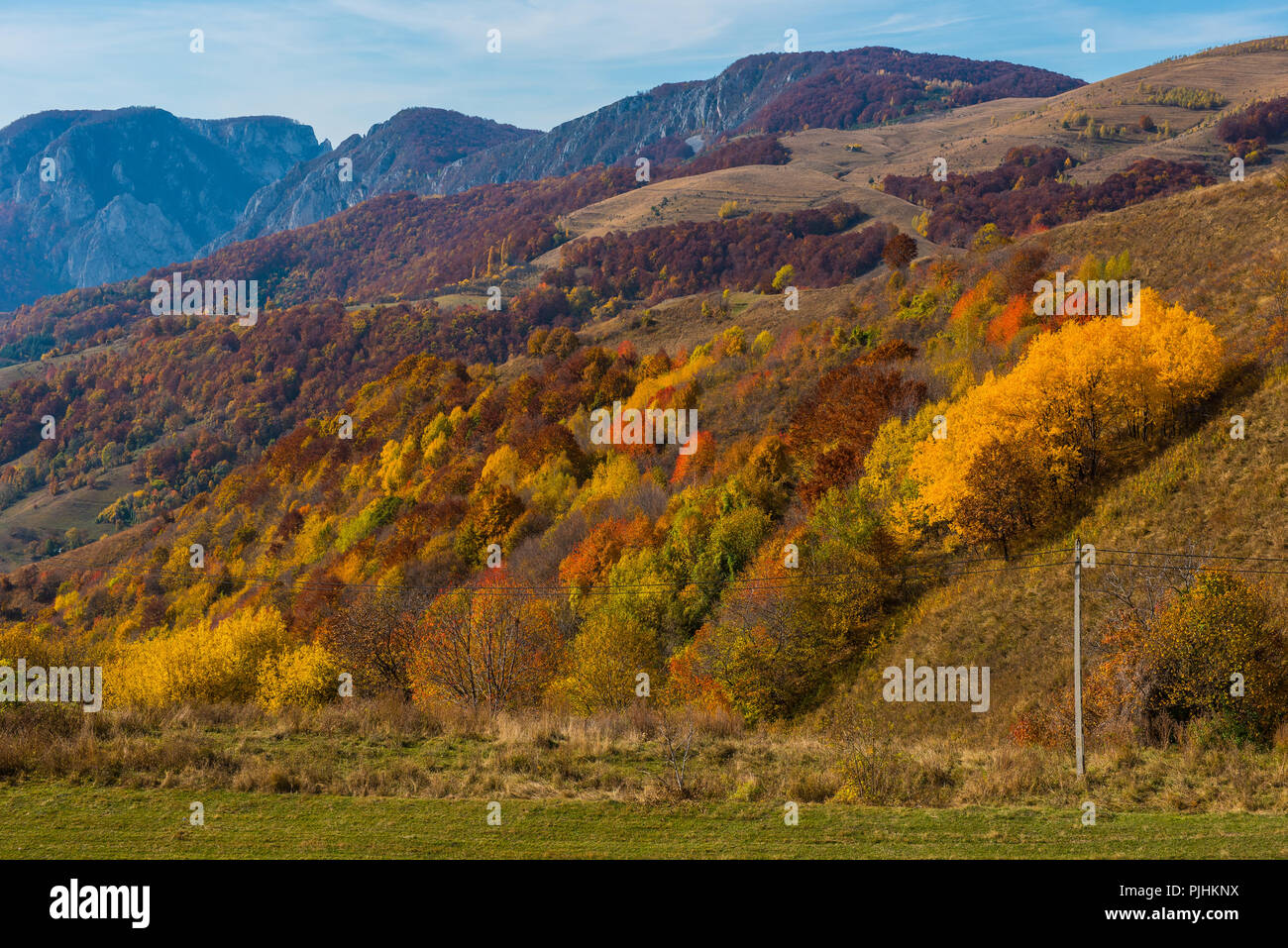 Autumn scene in the Transylvanian Alps, Romania. Colorful foliage ...