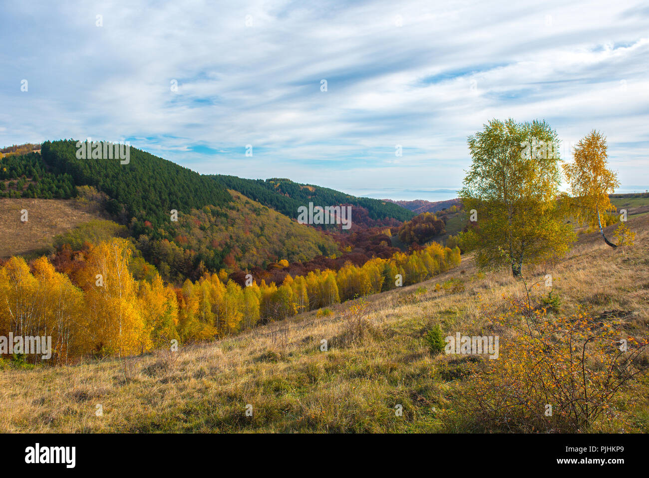 Autumn scene in the Transylvanian Alps, Romania. Colorful foliage ...