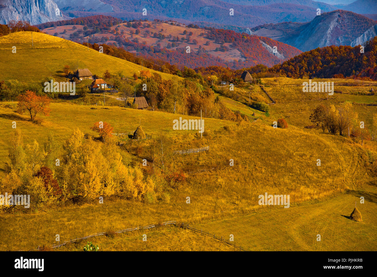 Autumn countryside panorama in mountains. Forest with colorful foliage ...