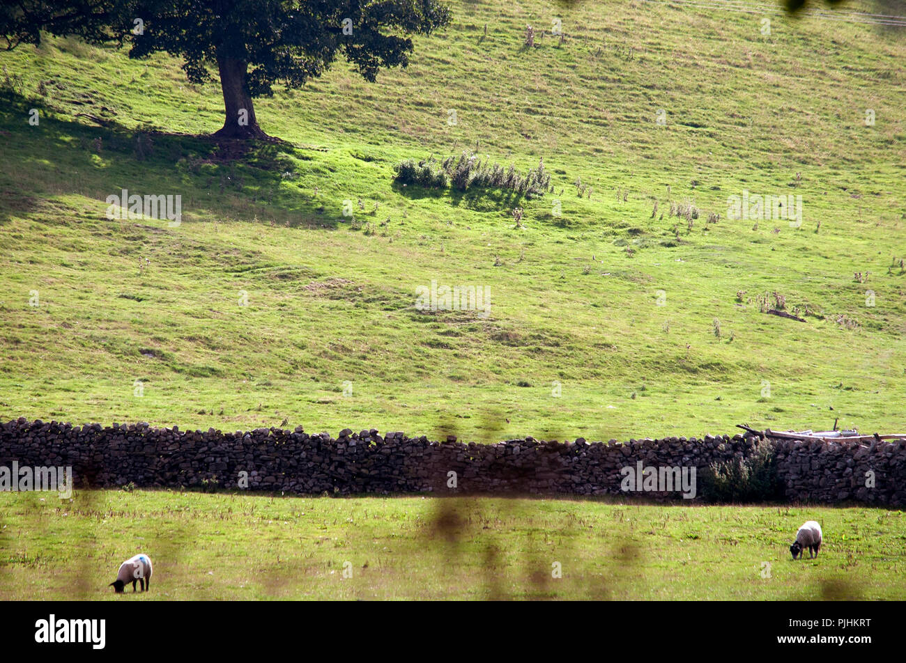 Stanhope, Weardale, County Durham Stock Photo - Alamy