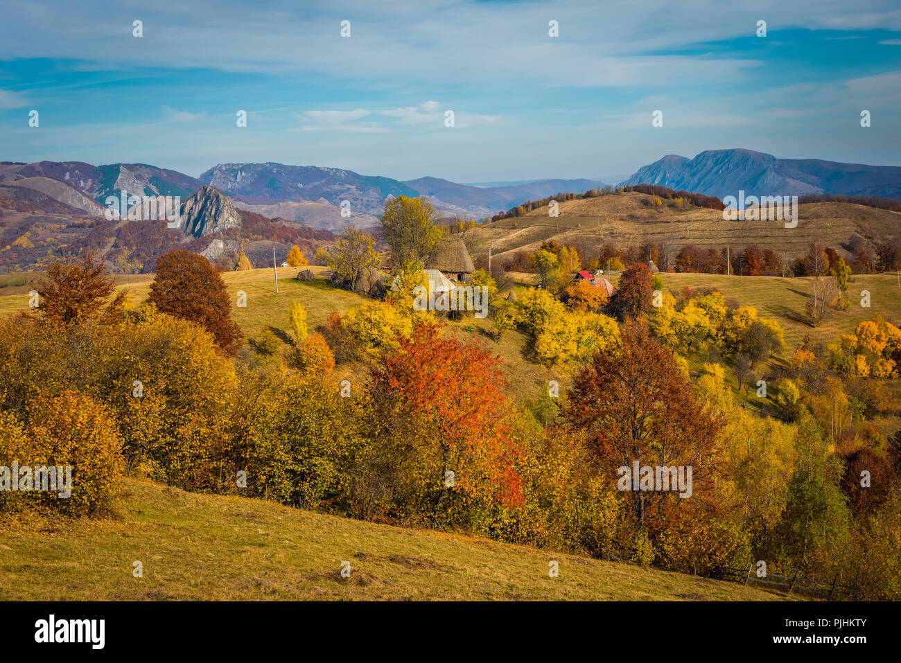 Autumn in Transylvania. Colorful foliage forest in the mountains ...