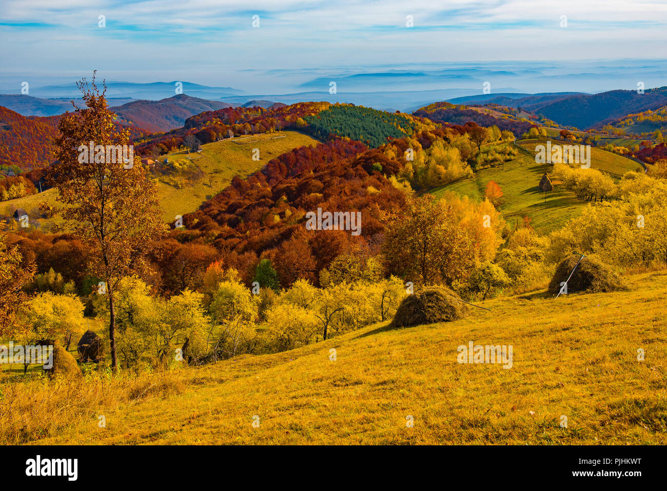 Autumn landscape with colorful trees. Fall in the Carpathains, Romania ...